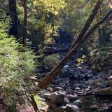 Canyon and Pony Gate Loop, California - 568 Reviews, Map | AllTrails