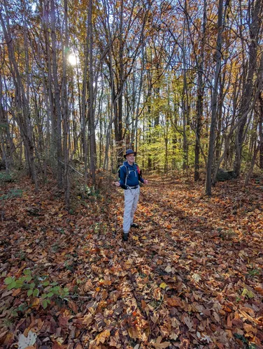 2023 Best Bird Watching Trails in State Game Lands Number 156 | AllTrails