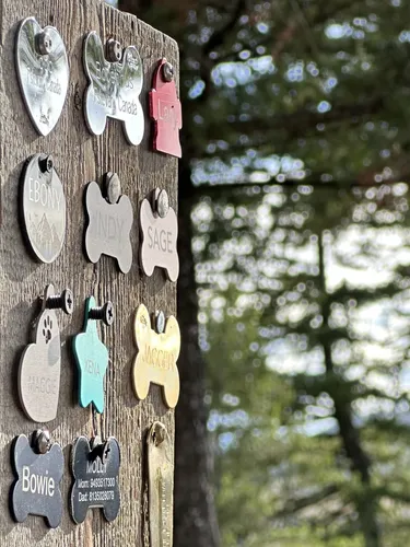 Best Hikes and Trails in Stillwater State Forest | AllTrails