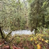 Boulder River Trail, Washington - 1,679 Reviews, Map | AllTrails