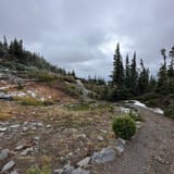 Skyline Loop, Washington - 14,768 Reviews, Map | AllTrails