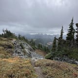 Skyline Loop, Washington - 14,768 Reviews, Map | AllTrails