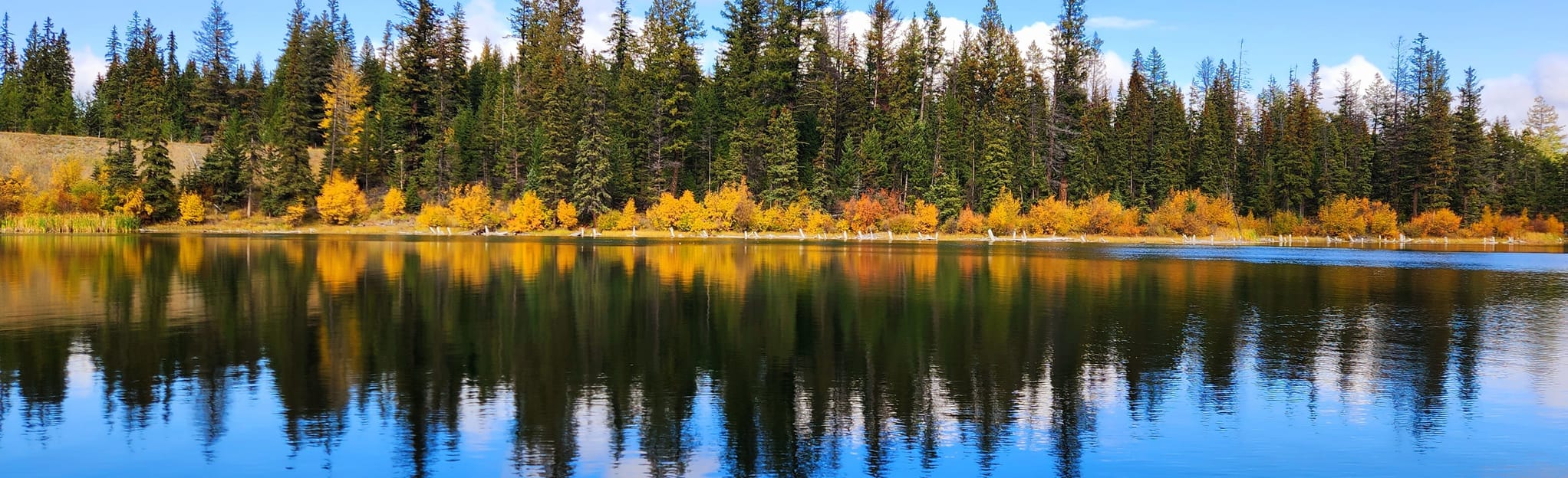 McConnell Lake Paddle, British Columbia, Canada - 3 Reviews, Map ...