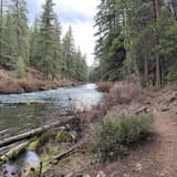 West Metolius River Trail, Oregon - 745 Reviews, Map | AllTrails