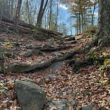 Mount Tom Tower Trail, Connecticut - 246 Reviews, Map | AllTrails
