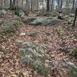 Mount Tom Tower Trail, Connecticut - 246 Reviews, Map | AllTrails