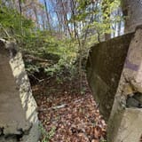 Mount Tom Tower Trail, Connecticut - 274 Reviews, Map | AllTrails
