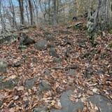 Mount Tom Tower Trail, Connecticut - 246 Reviews, Map | AllTrails
