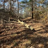 Mount Tom Tower Trail, Connecticut - 246 Reviews, Map | AllTrails