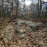 Mount Tom Tower Trail, Connecticut - 246 Reviews, Map | AllTrails