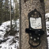 West Wind Pass Trail, Alberta, Canada - 2,307 Reviews, Map | AllTrails