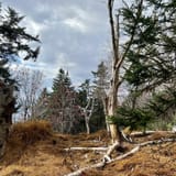 Mount Ascutney via Weathersfield Trail, Vermont - 1,318 Reviews, Map ...