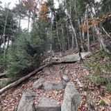 Mount Ascutney via Weathersfield Trail, Vermont - 1,318 Reviews, Map ...
