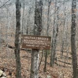 Mount Ascutney via Weathersfield Trail, Vermont - 1,318 Reviews, Map ...