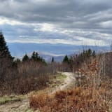 Mount Ascutney via Weathersfield Trail, Vermont - 1,318 Reviews, Map ...