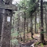 Mount Ascutney via Weathersfield Trail, Vermont - 1,318 Reviews, Map ...