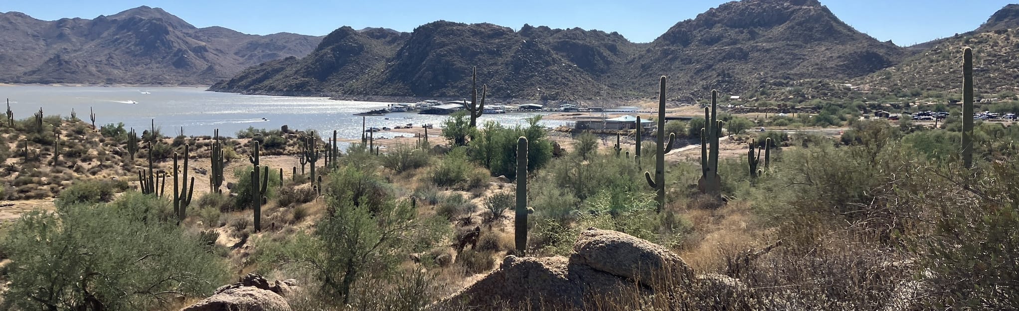 Jojoba Trail at Bartlett Lake, Arizona - 61 Reviews, Map | AllTrails