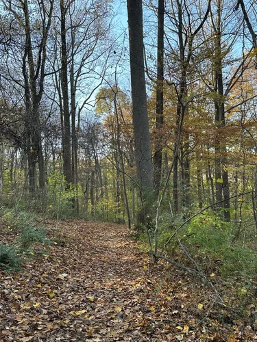 Best Hikes and Trails in Speedwell Forge County Park | AllTrails