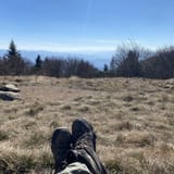 Andrews Bald Trail, North Carolina - 2,358 Reviews, Map | AllTrails