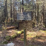 Andrews Bald Trail, North Carolina - 2,358 Reviews, Map | AllTrails