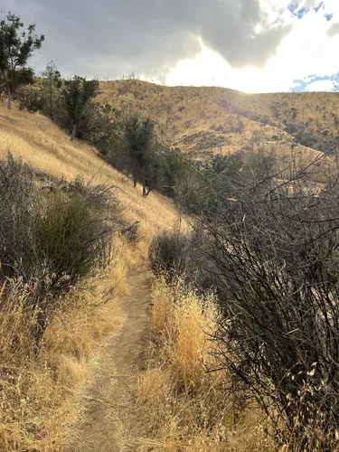 Best Hikes and Trails in Patterson | AllTrails