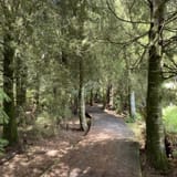 Waitomo Walkway, Waikato, New Zealand - 67 Reviews, Map | AllTrails
