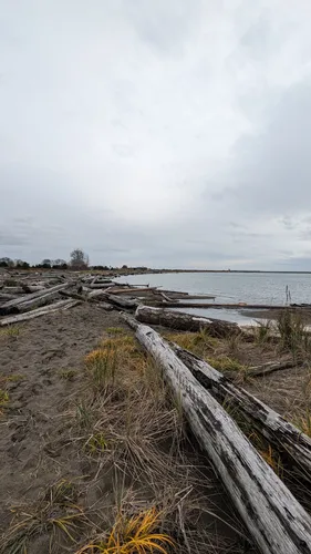 Best Hikes and Trails in Iona Beach Regional Park | AllTrails