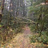 Kinsol Trestle and Kinsol Bypass Trail, British Columbia, Canada - 358 ...
