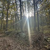 Blue Hole Road, Arkansas - 57 Reviews, Map | AllTrails