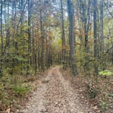 Blue Hole Road, Arkansas - 57 Reviews, Map | AllTrails
