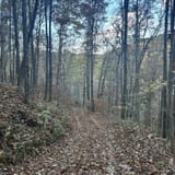 Blue Hole Road, Arkansas - 57 Reviews, Map | AllTrails