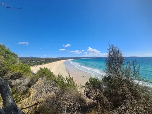 Best Forest Trails in Pambula Beach | AllTrails