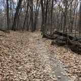 Ice Age Trail: Monches, Wisconsin - 1,134 Reviews, Map | AllTrails