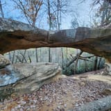 Princess Arch Trail [CLOSED], Kentucky - 1,135 Reviews, Map | AllTrails