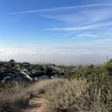 Forrestal Preserve Loop, California - 1,283 Reviews, Map | AllTrails