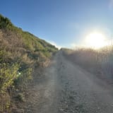 Forrestal Preserve Loop, California - 1,283 Reviews, Map | AllTrails