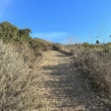 Forrestal Preserve Loop, California - 1,283 Reviews, Map | AllTrails