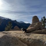 The Crags Trail, Colorado - 3,493 Reviews, Map | AllTrails