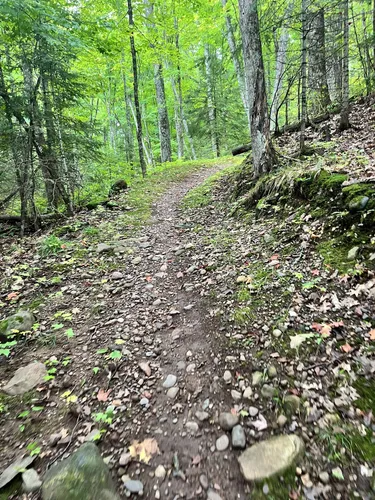 Best Hikes and Trails in Cable | AllTrails