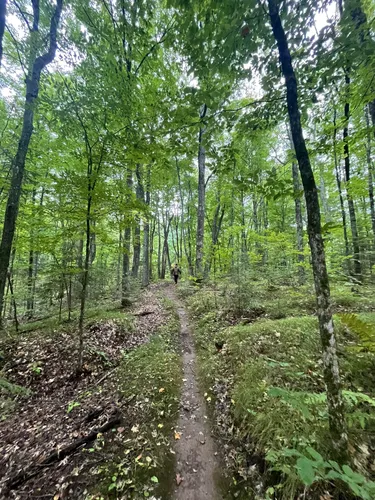 Best Hikes and Trails in Cable | AllTrails