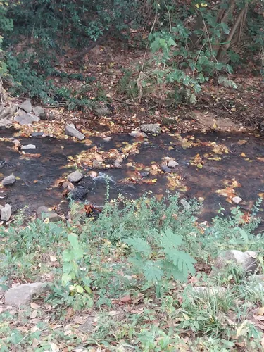 Best Hikes and Trails in Maxcy Gregg Park | AllTrails