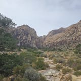 Ice Box Canyon Trail, Nevada - 2,906 Reviews, Map | AllTrails