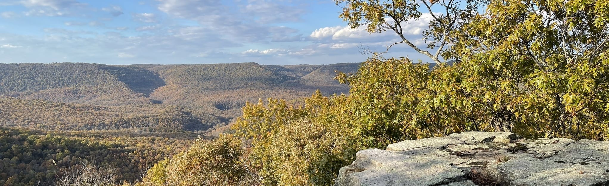 McFerrin Point, Arkansas - 55 Reviews, Map | AllTrails