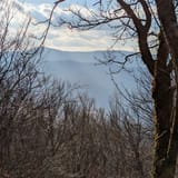 Spruce Hill via Hoosac Range Trail, Massachusetts - 559 Reviews, Map ...