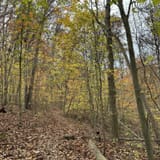 Salt Run, Ohio - 1,174 Reviews, Map | AllTrails