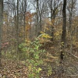 Salt Run, Ohio - 1,174 Reviews, Map | AllTrails