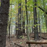 Salt Run, Ohio - 1,174 Reviews, Map | AllTrails