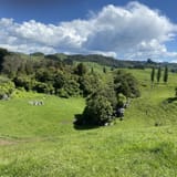 Waitomo Walkway, Waikato, New Zealand - 67 Reviews, Map | AllTrails