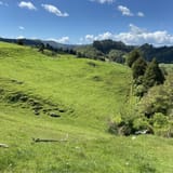 Waitomo Walkway, Waikato, New Zealand - 67 Reviews, Map | AllTrails