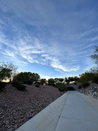 Best Hikes and Trails in Puccini Park | AllTrails